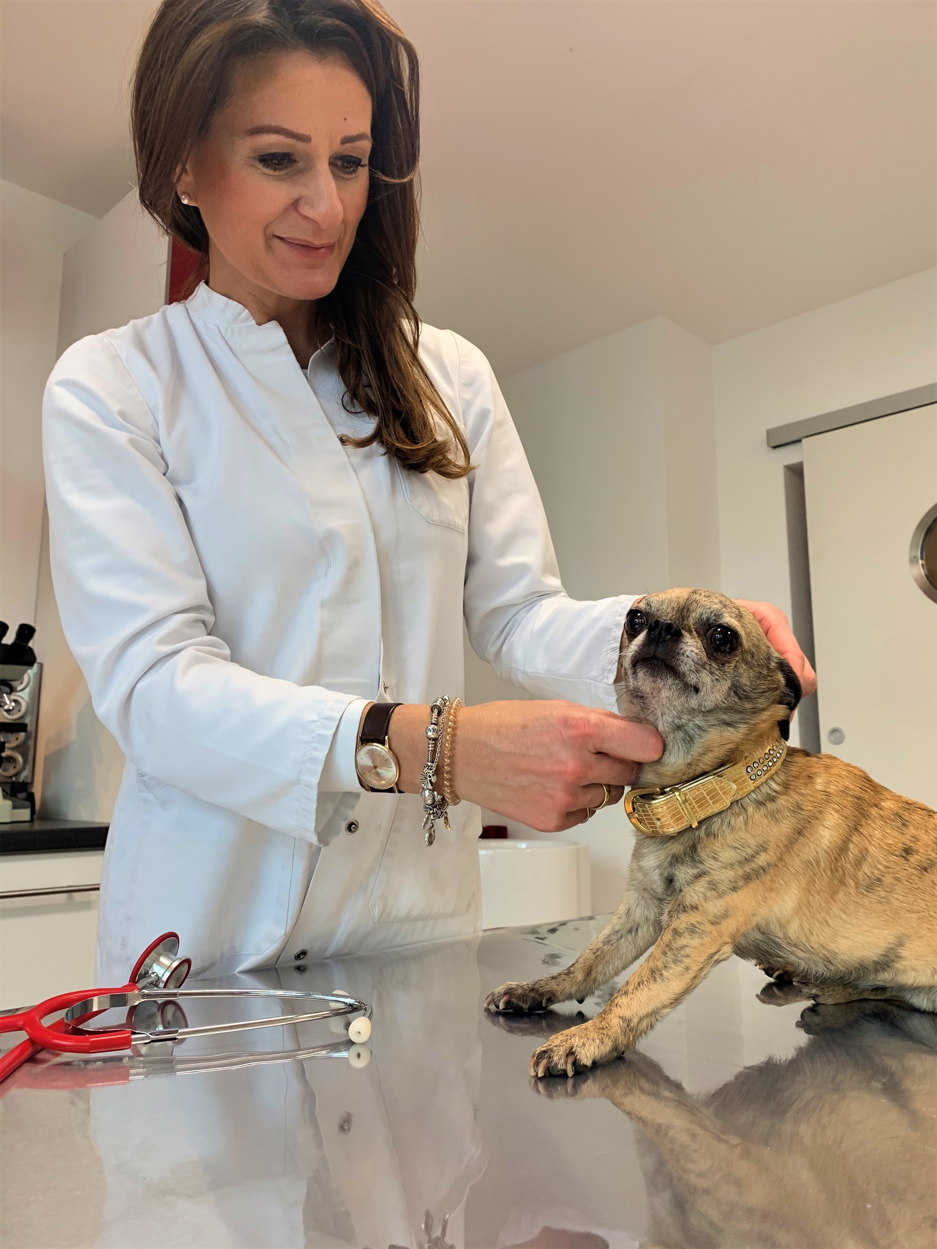 Ihre Tierarztpraxis Barbara Herpel für Kleintiere in Straubing